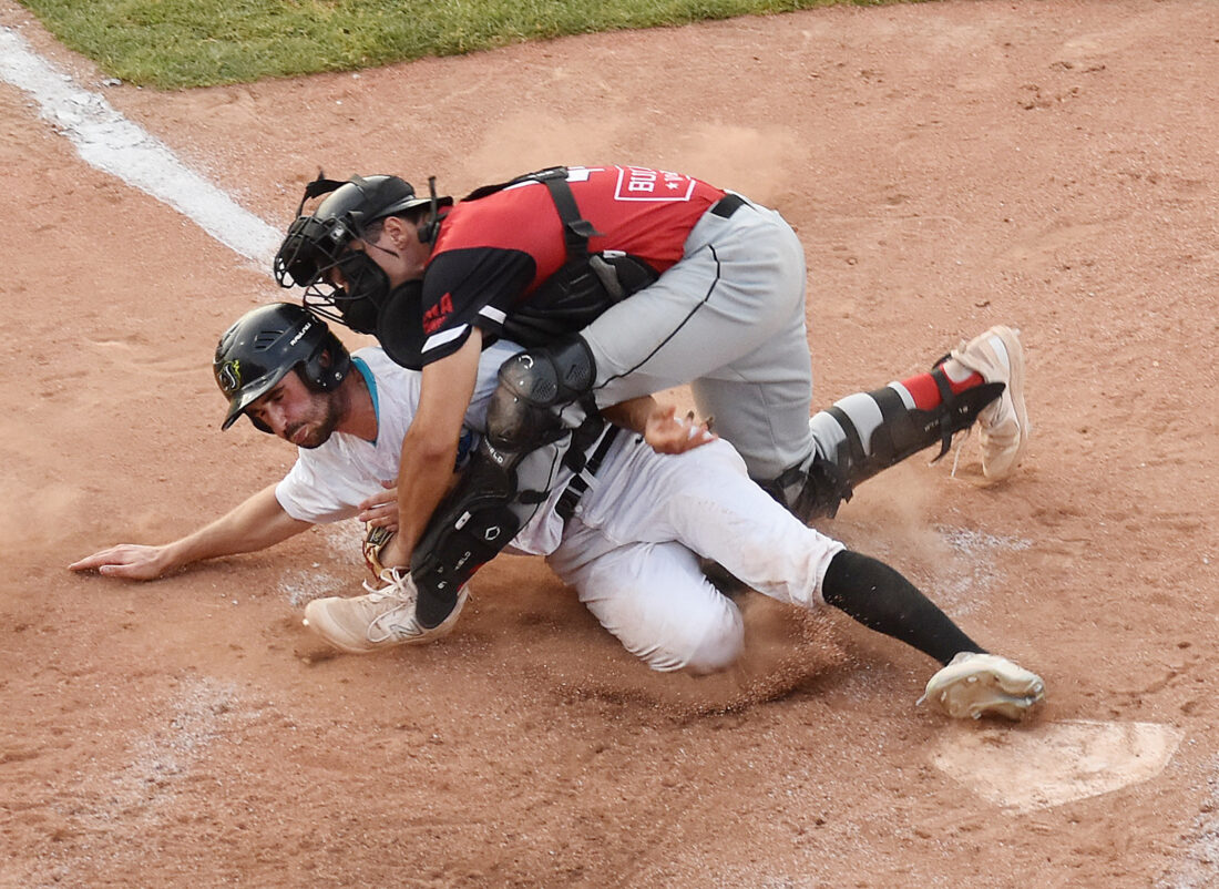 Skunks Split | News, Sports, Jobs - Post Journal